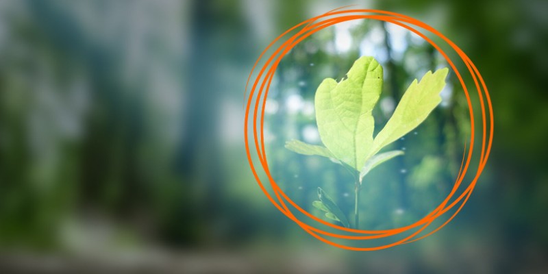 iLearn Netherlands - ISO 14064 Greenhouse Gas Lead Verifier Training ...