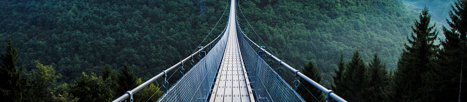 SGS Academy Philippines - Browse Catalogue