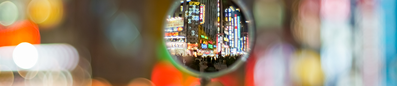 SGS Academy Egypt - Browse Catalogue